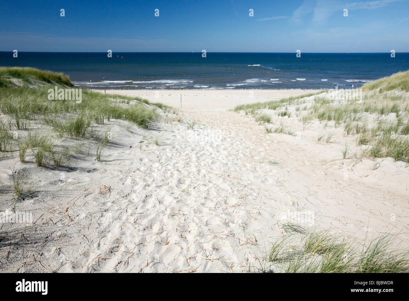 North Sea, beach and sand dunes, Texel Island, Holland Stock Photo - Alamy