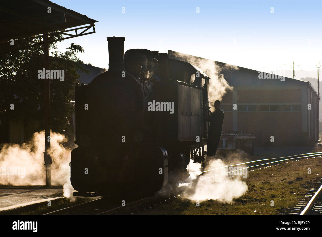 Eritrean railways, From Asmara to Massawa, Eritrea Stock Photo - Alamy