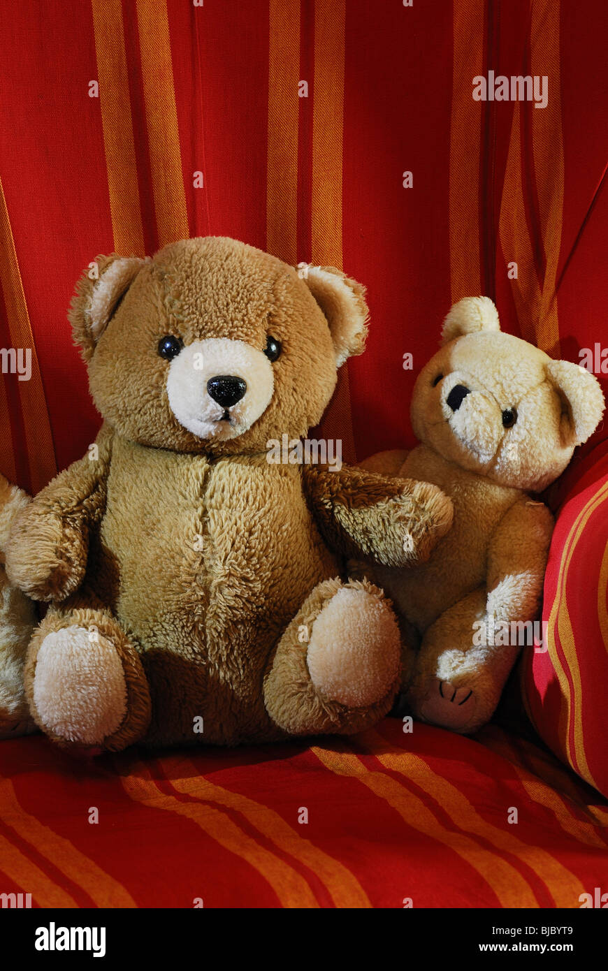 Cute teddies hi-res stock photography and images - Alamy