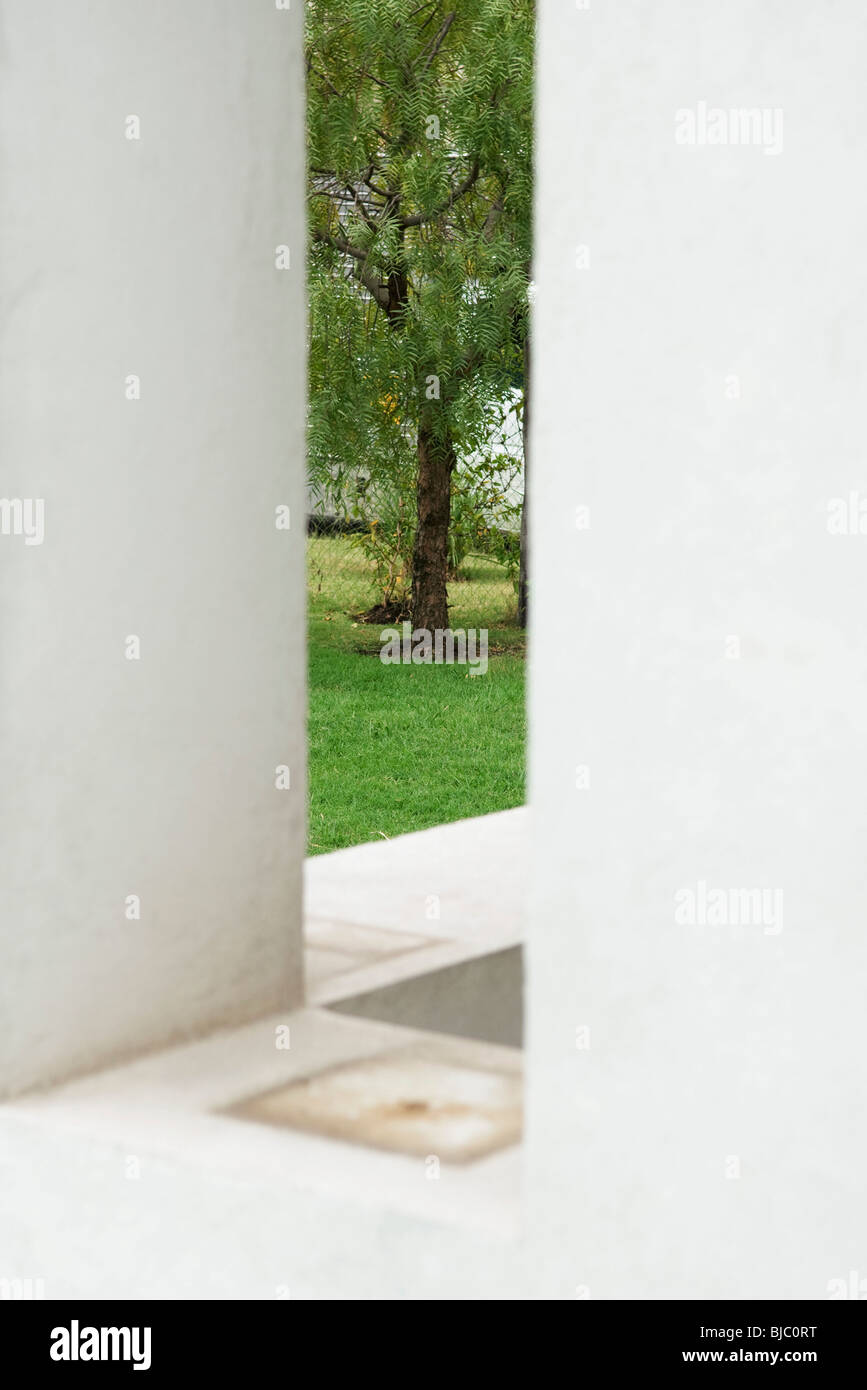 Tree in distance viewed through porch columns Stock Photo - Alamy