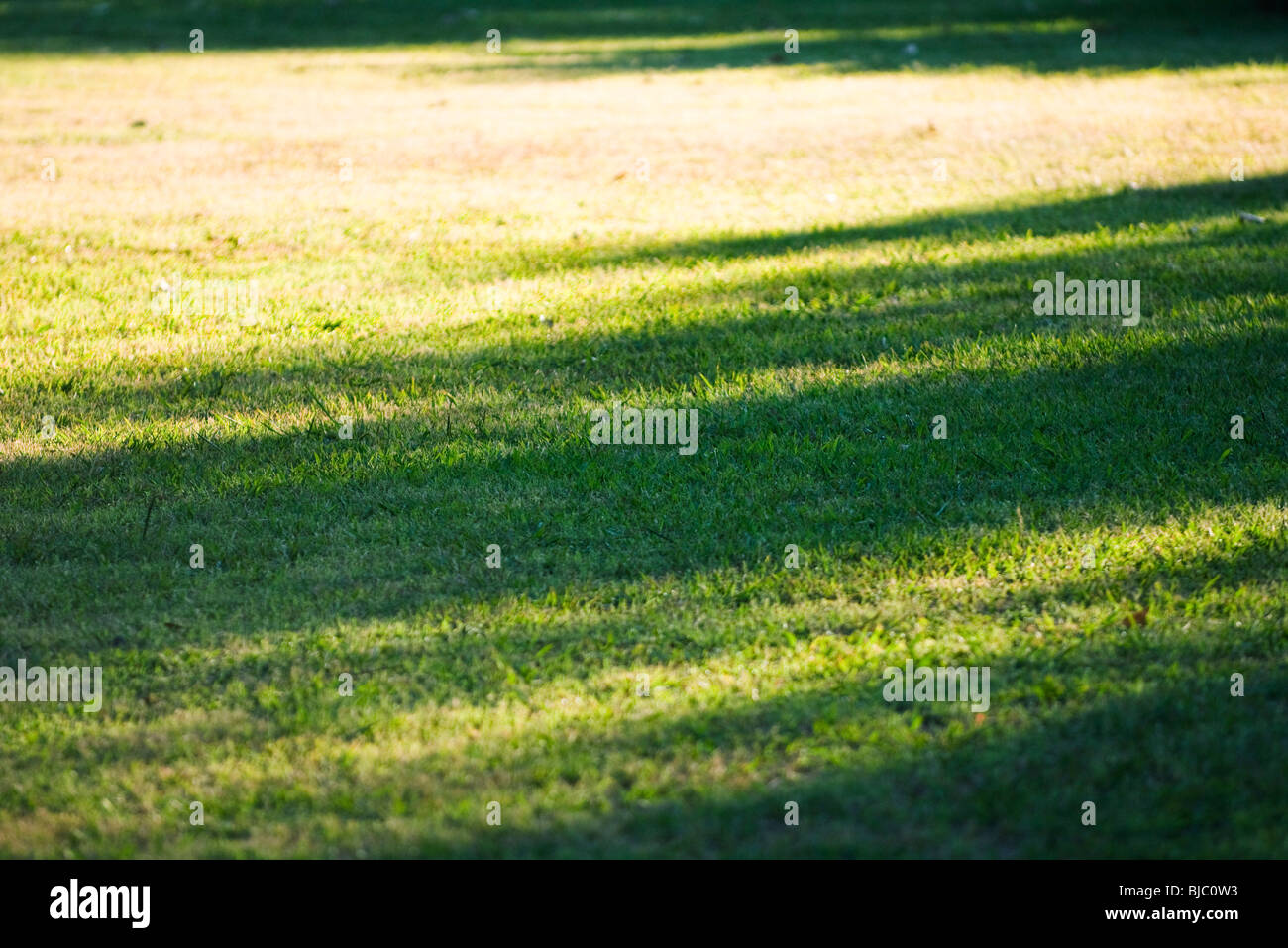 Rolling grassy lawn Stock Photo - Alamy