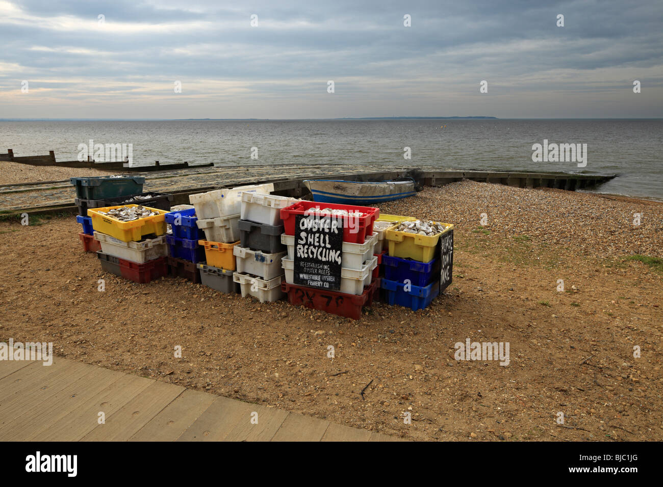 Oyster shell recycling stack Stock Photo - Alamy