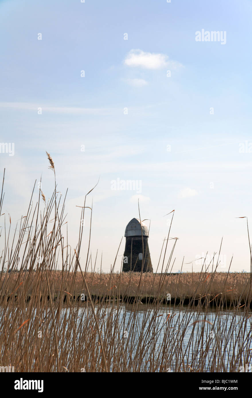 A view over reeds and the River Bure to Runham South Drainage Mill ...