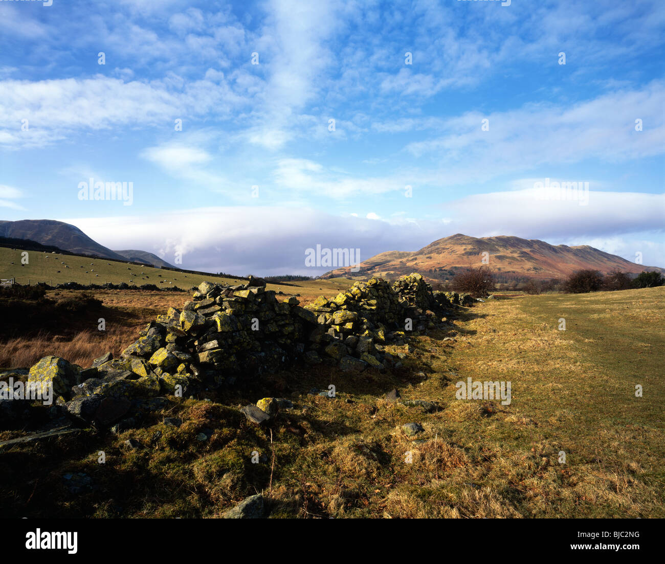 Dry stone wall decayed hi-res stock photography and images - Alamy