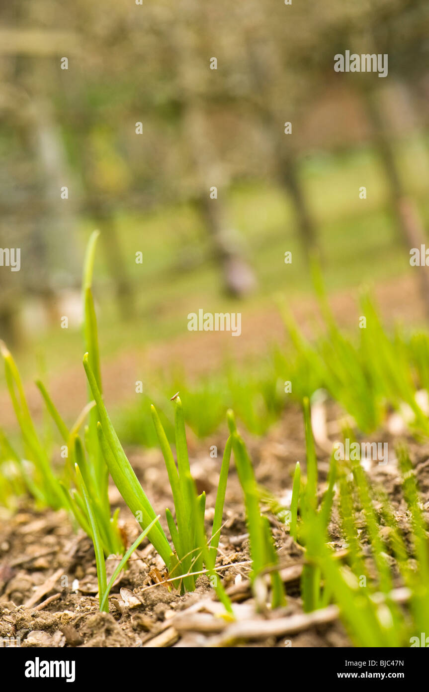 Set sets hi-res stock photography and images - Alamy