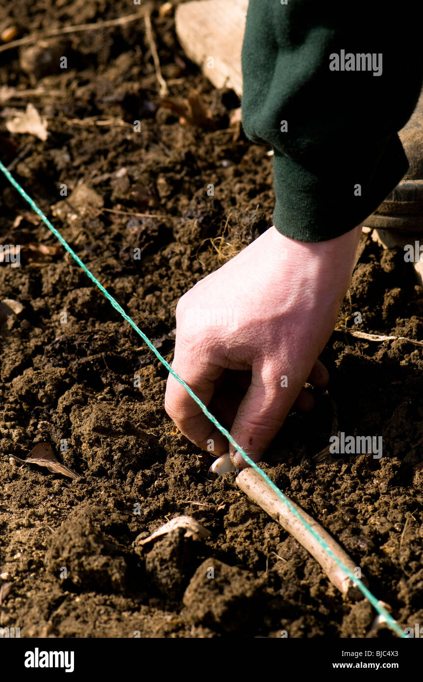 French man garlic hi-res stock photography and images - Alamy