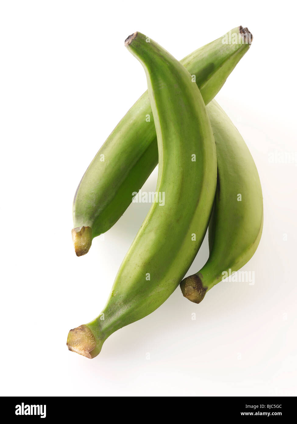 Plantain stock photos Stock Photo - Alamy