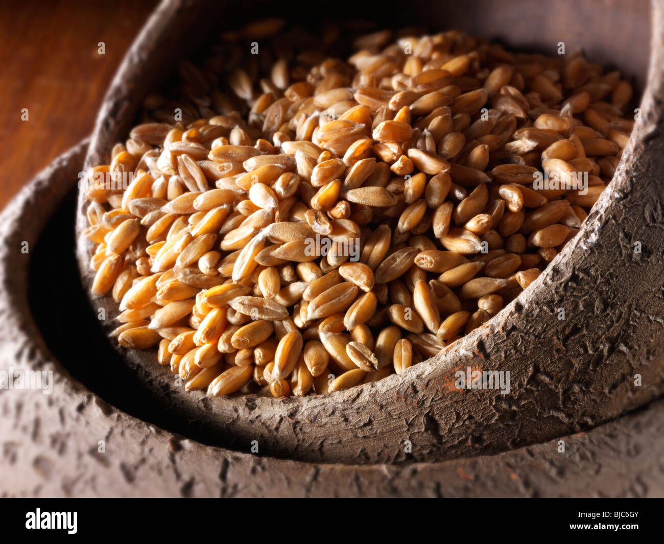 rye grains stock photos Stock Photo - Alamy