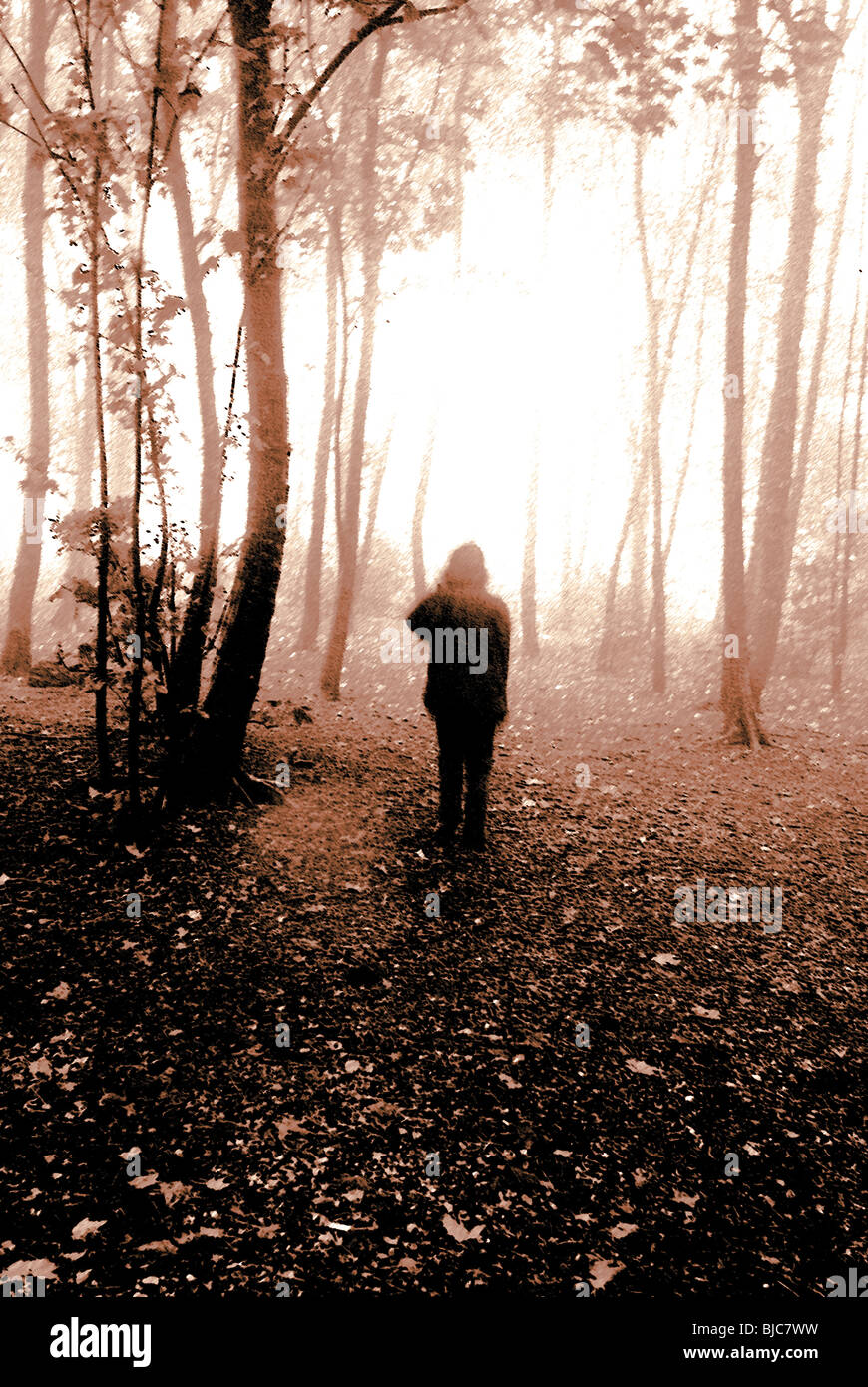 shadow figure standing in forest Stock Photo - Alamy
