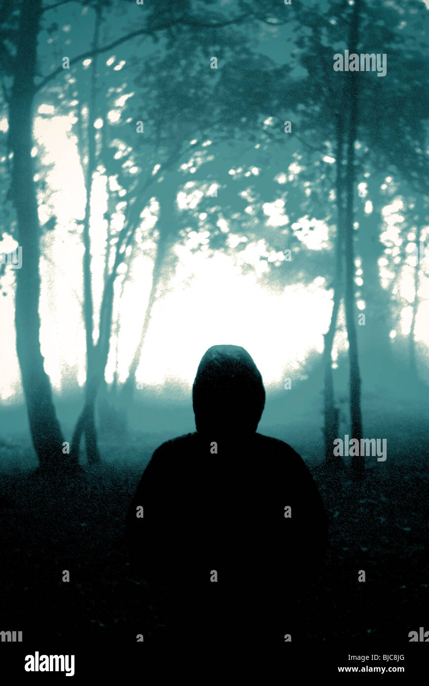 silhouette of perdon i forest Stock Photo - Alamy
