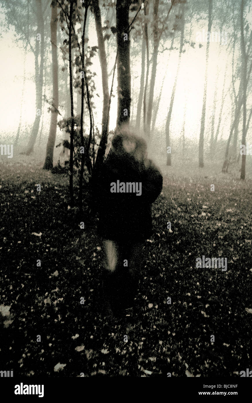 man in trees Stock Photo - Alamy