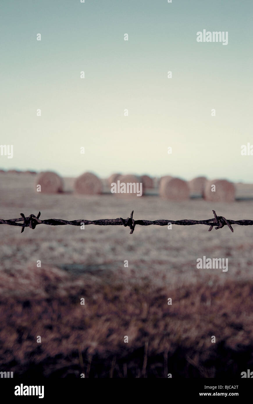 barbed wire in field Stock Photo - Alamy