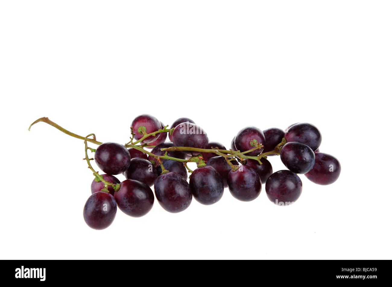 Grape isolated on white background Stock Photo - Alamy