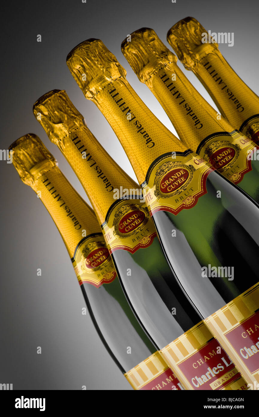 Studio shot of angled bottles of Champagne on grey background Stock ...