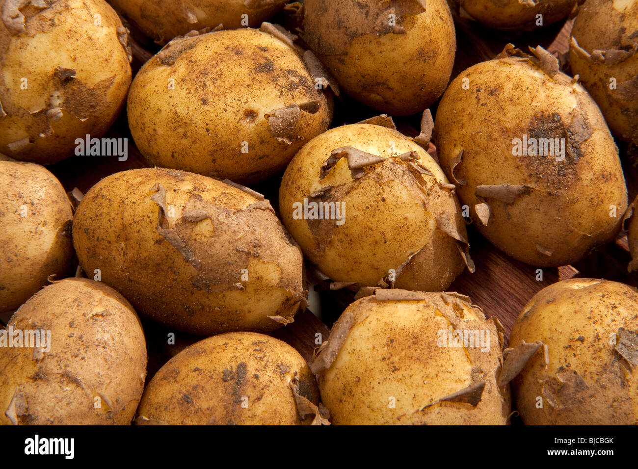 Jersey potatoes hi-res stock photography and images - Alamy