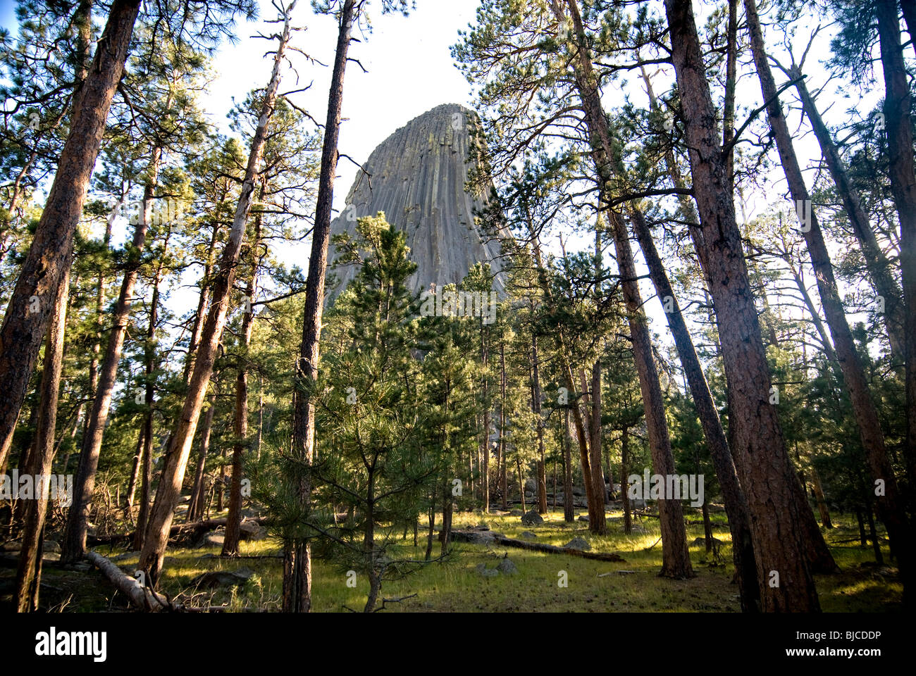 National Park Devils Tower High Resolution Stock Photography and Images ...