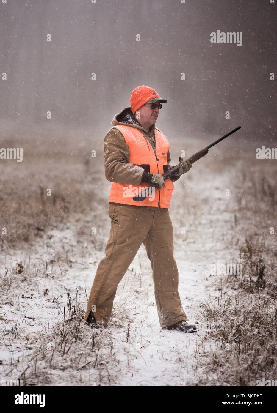 Pheasant hunter in the snow Stock Photo - Alamy