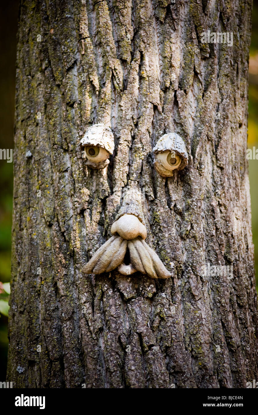 Face in a tree at a renaissance festival Stock Photo - Alamy