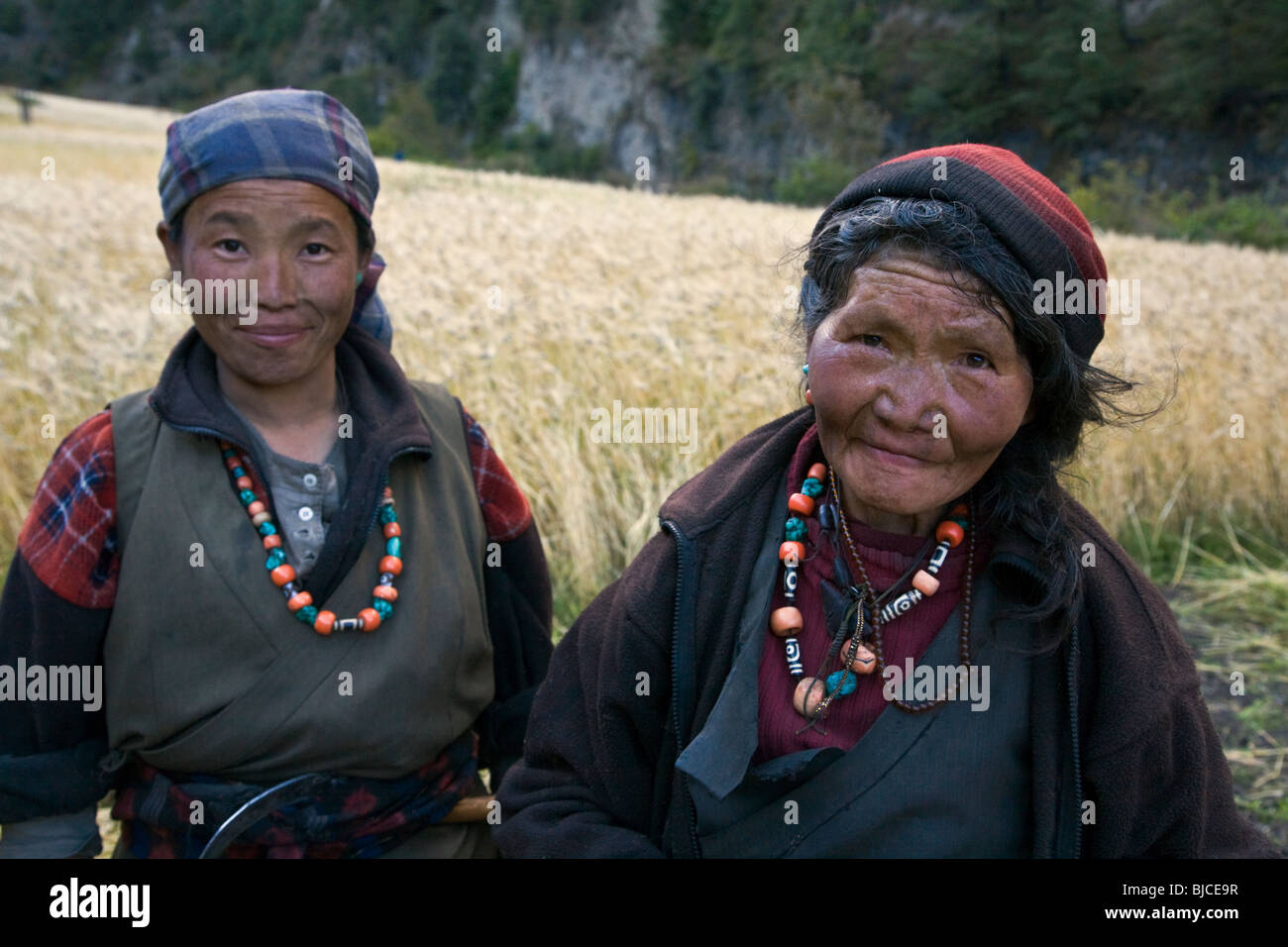 Tribal people farming hi-res stock photography and images - Alamy