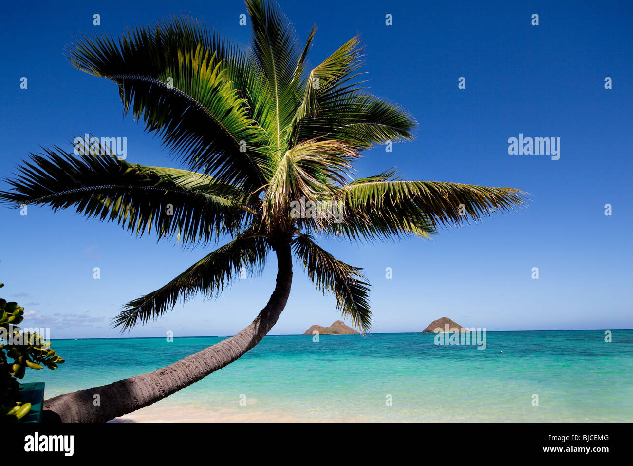 Lanikai Beach, Mokulua Islands, Kailua, Oahu, Hawaii Stock Photo - Alamy