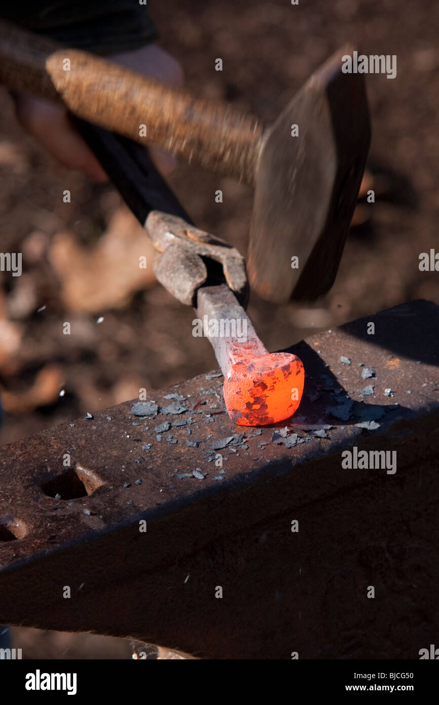 Spike scale hi-res stock photography and images - Alamy