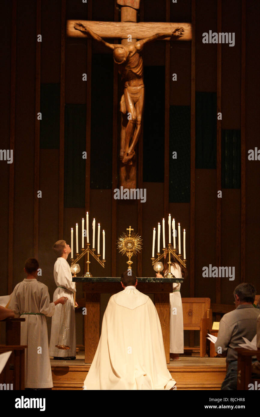 Priest celebrating the veneration of the Eucharist Stock Photo - Alamy