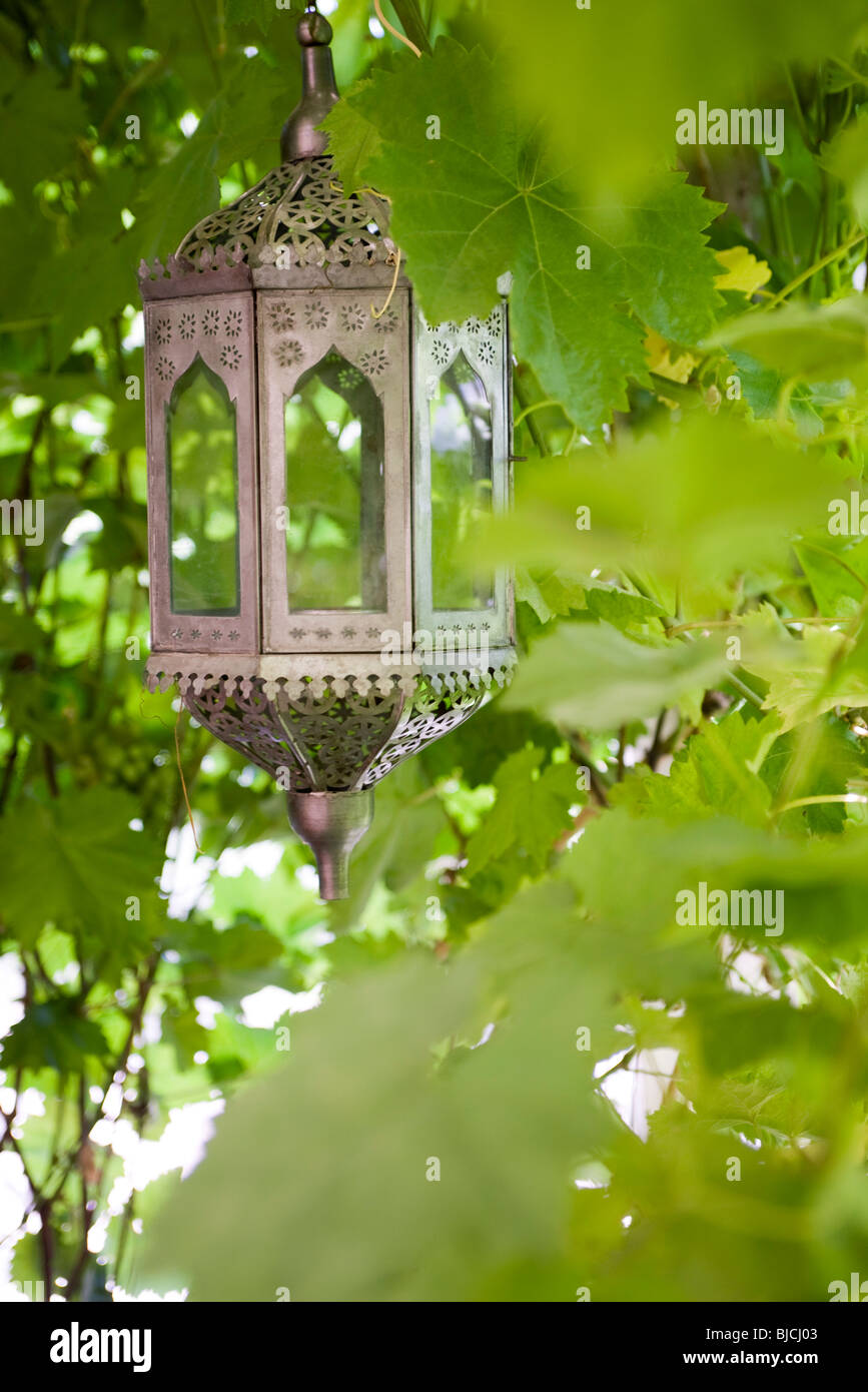 Moroccan lantern against background of lush foliage Stock Photo - Alamy