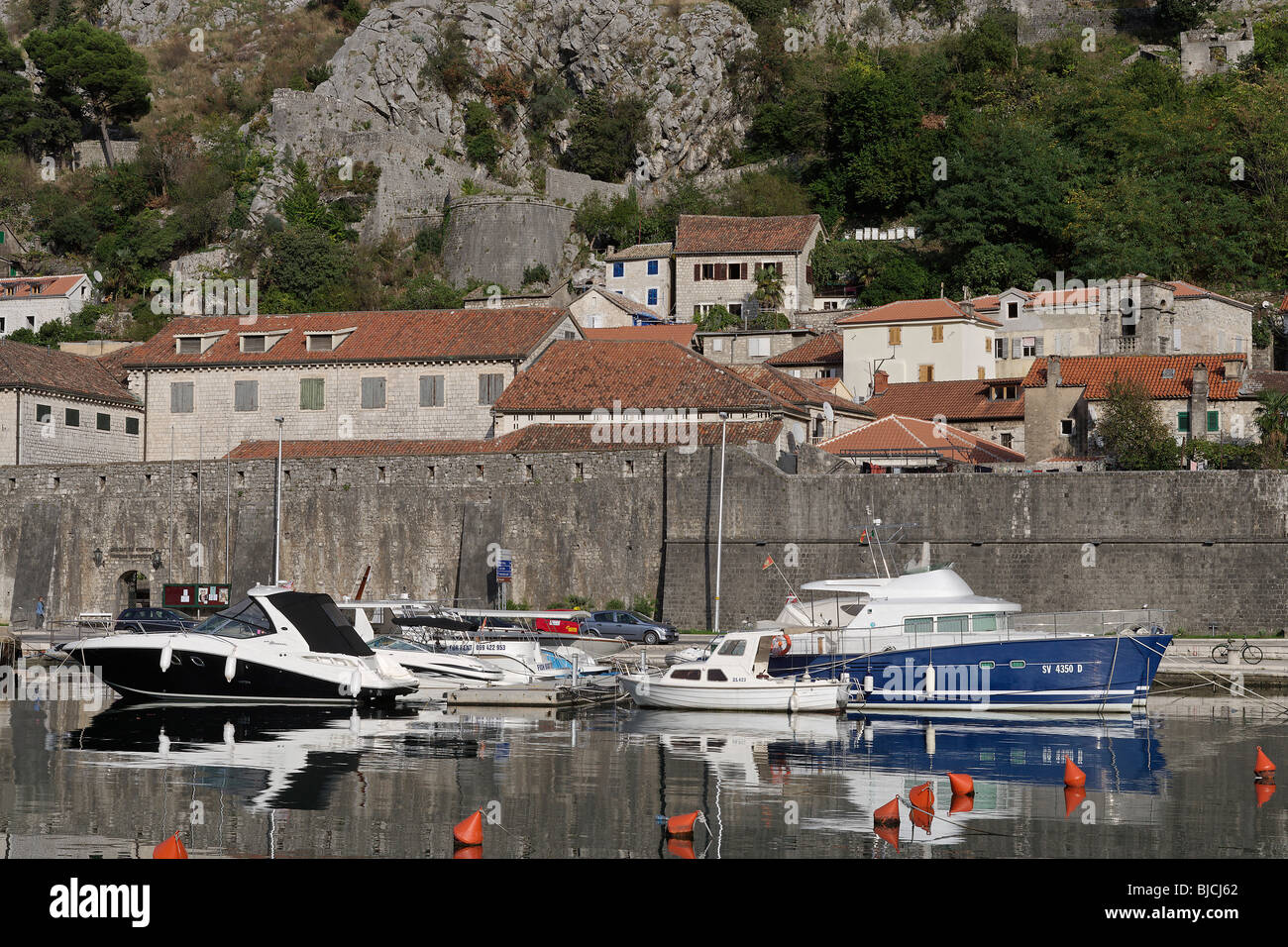 Kotor,old town,marina,harbour,Kotor Bay,Montenegro Stock Photo - Alamy