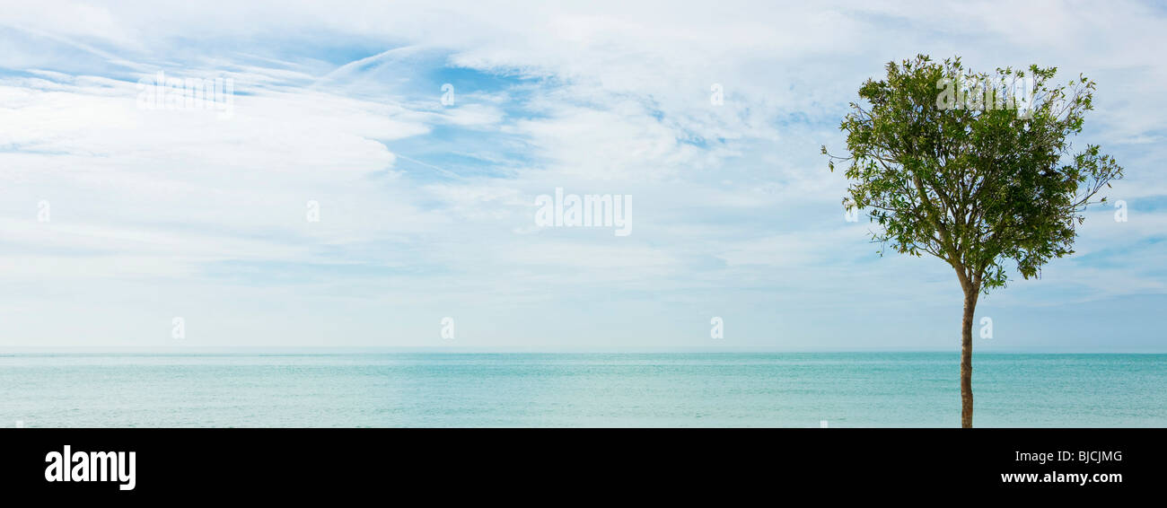 Tranquil environments hi-res stock photography and images - Alamy