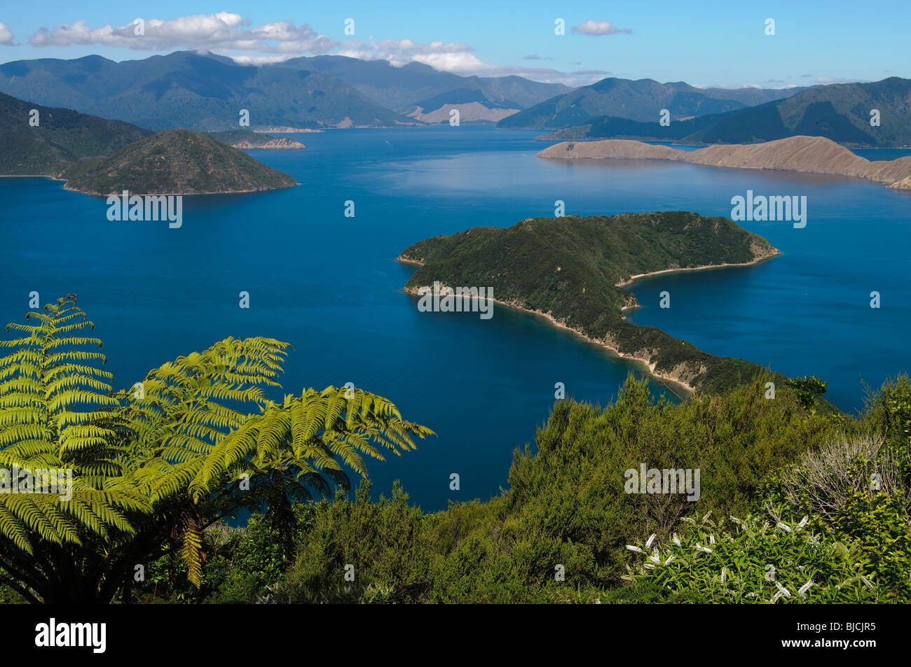 Marlborough Sounds from Maud Island Stock Photo - Alamy