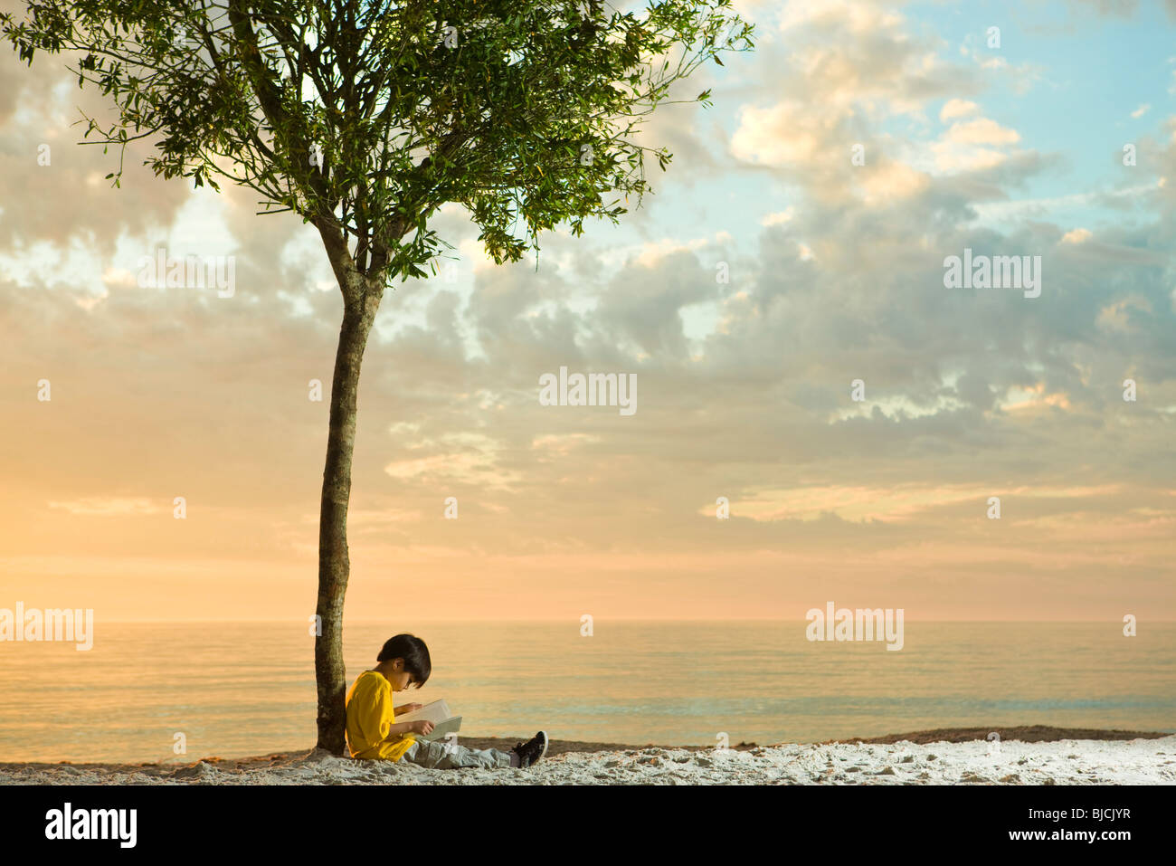 Boy reading under tree hi-res stock photography and images - Alamy