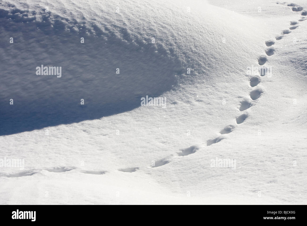 Tracks trails hi-res stock photography and images - Alamy
