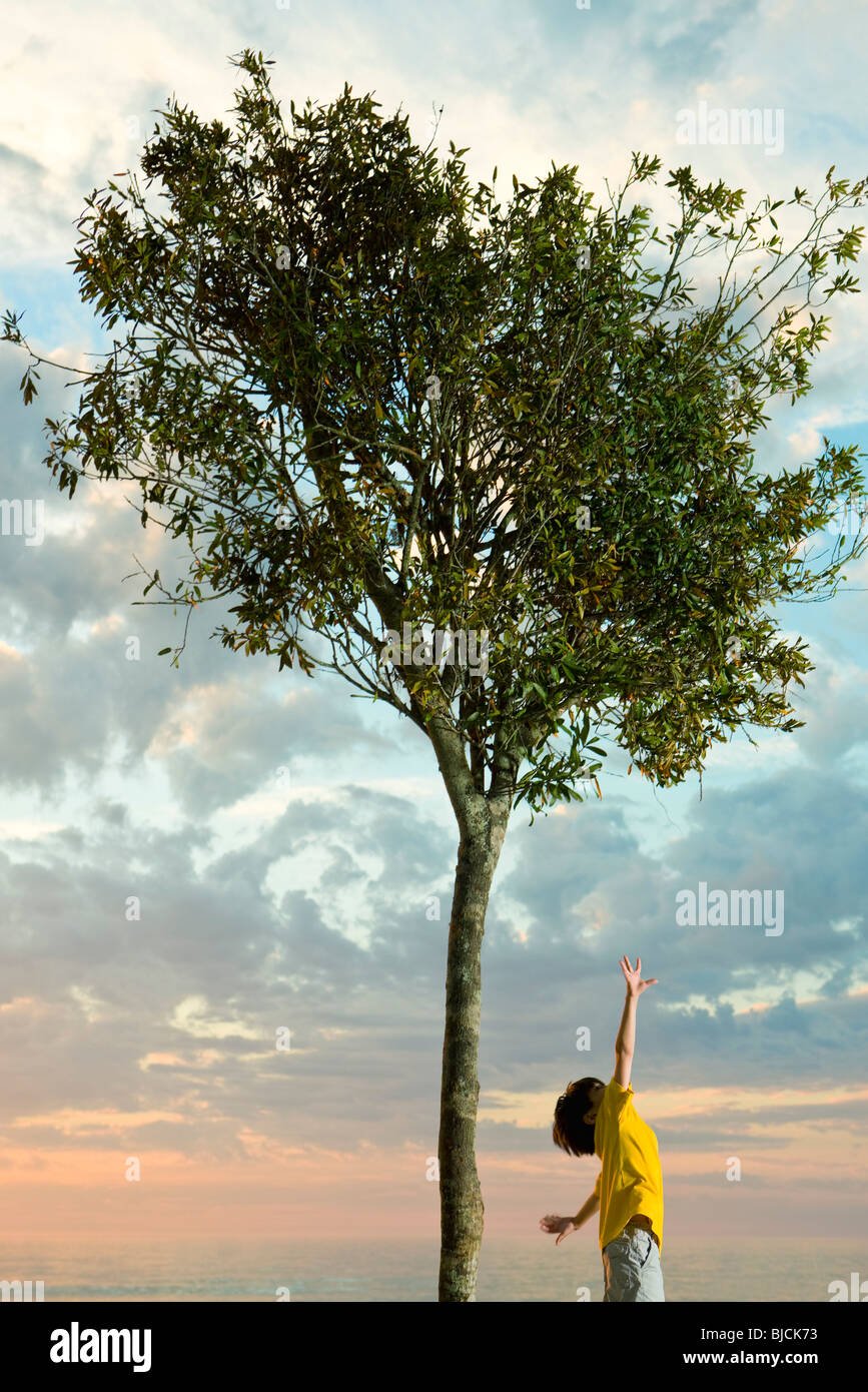 Tree branches reaching to the sky hi-res stock photography and images ...