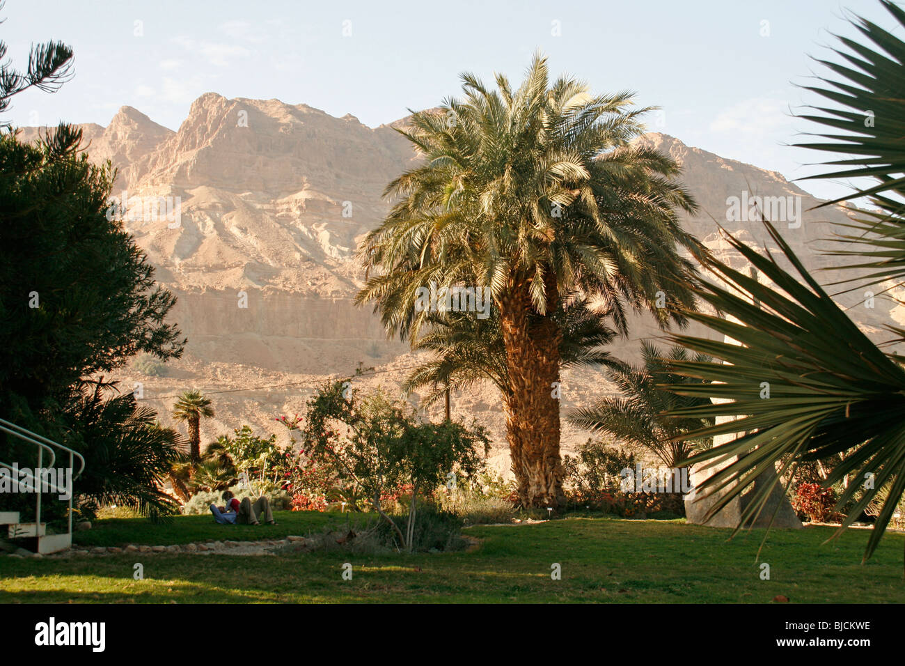 Kibutz kibbutz hi-res stock photography and images - Alamy