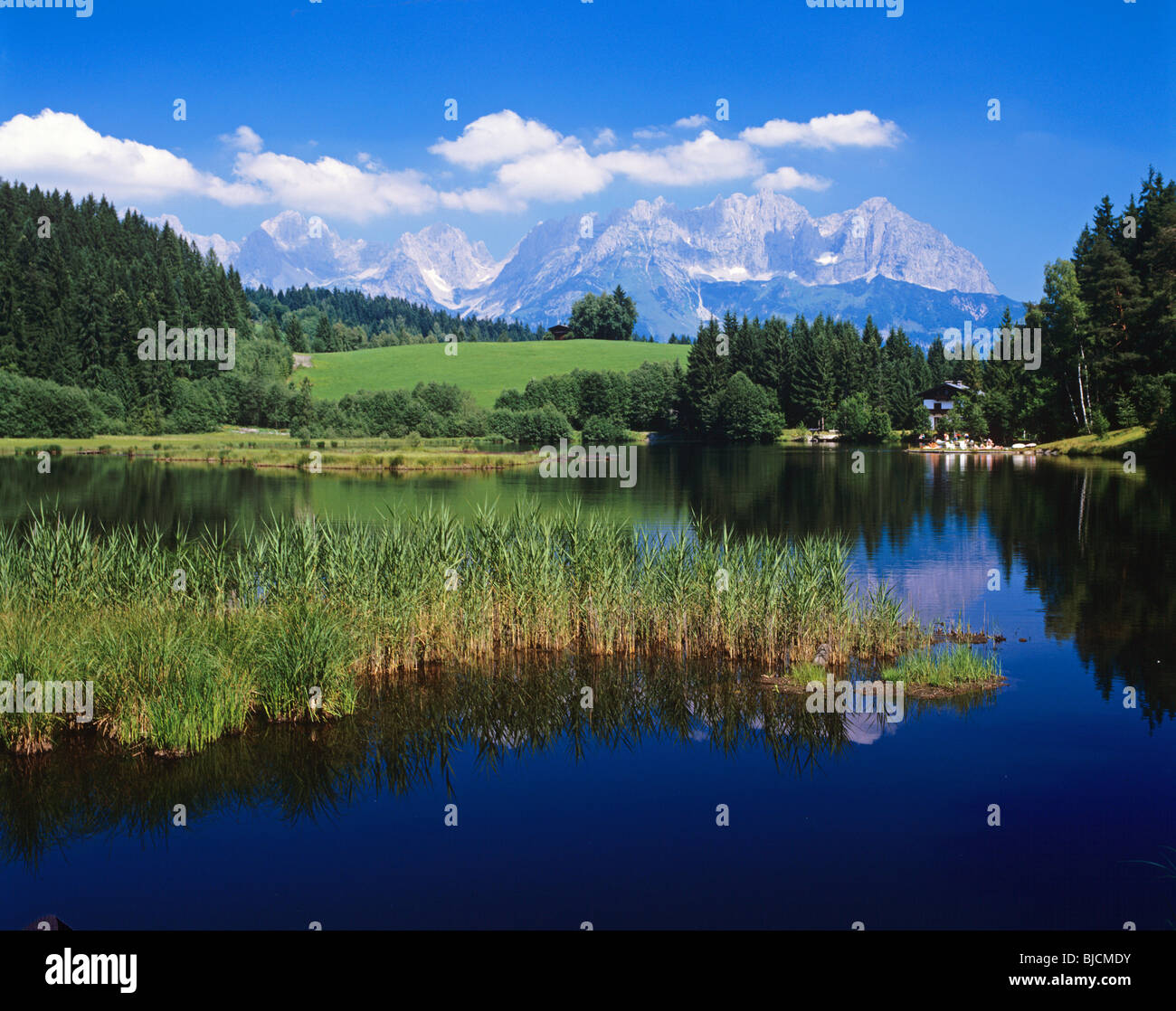 Gieringer weiher forest lake hi-res stock photography and images - Alamy