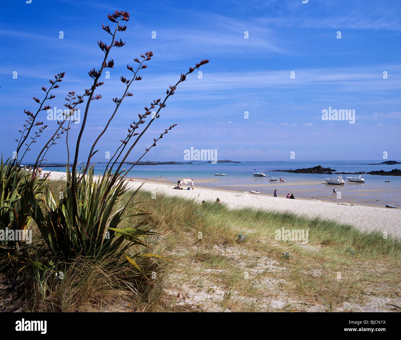 Channel Islands Herm Shell Beach View of the sandy beach popular with ...