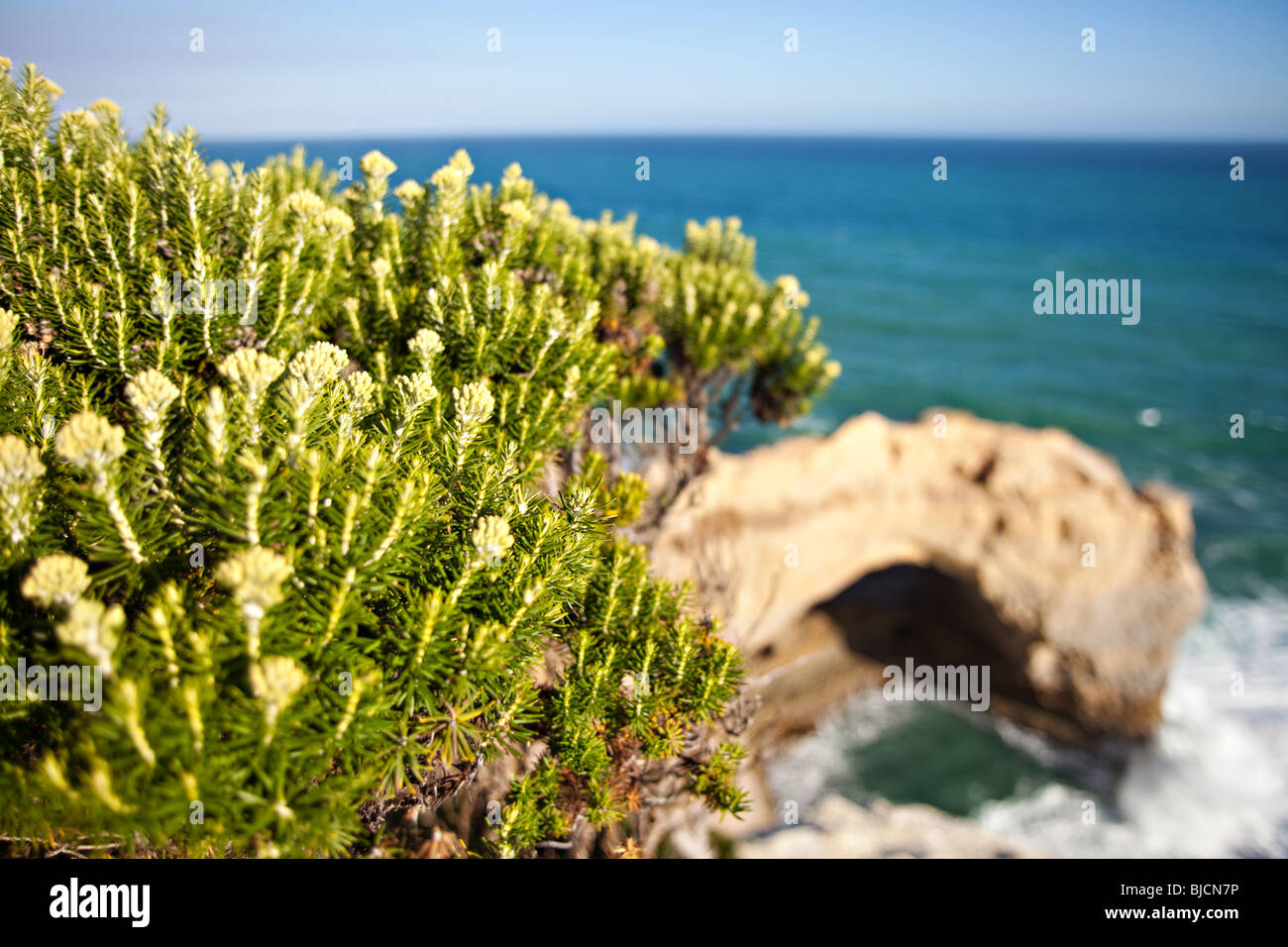 Great Ocean Road the Arch, Australia Stock Photo - Alamy