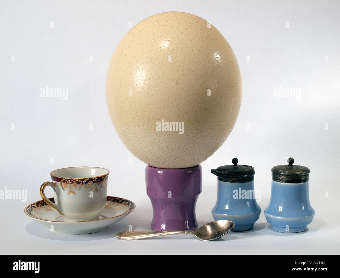 Ostrich egg hi-res stock photography and images - Alamy