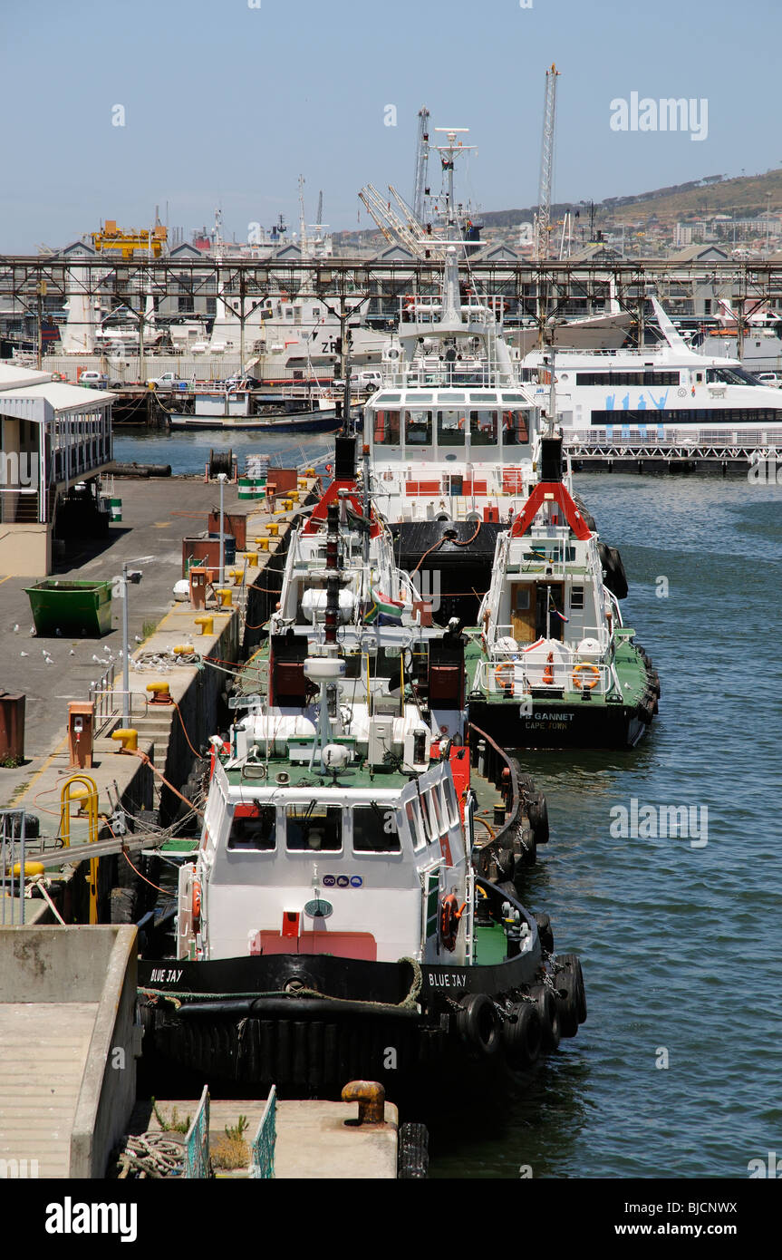 Port of Cape Town South Africa ocean going tugs pilot boats Stock Photo ...