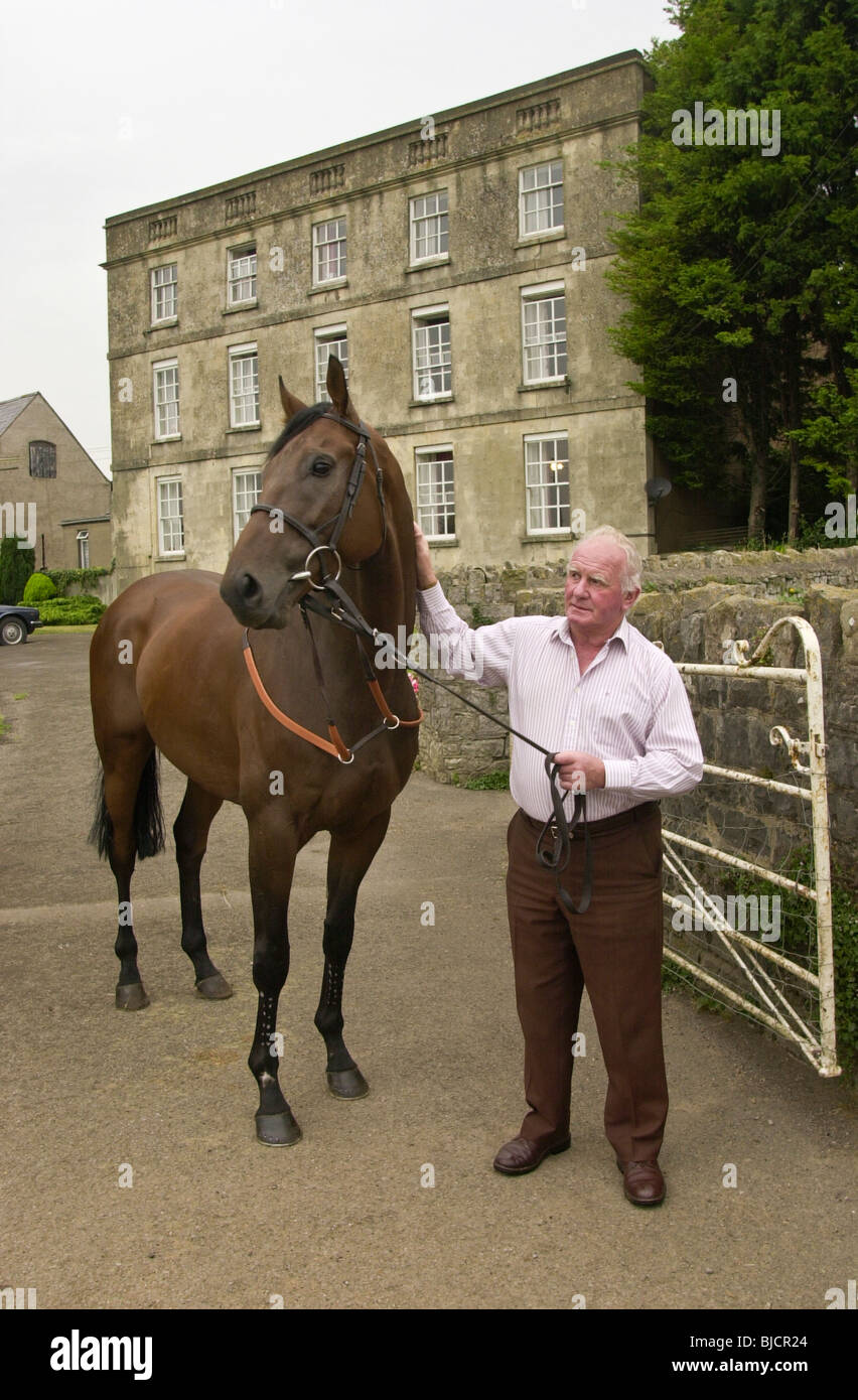 Milton bradley horse hi-res stock photography and images - Alamy
