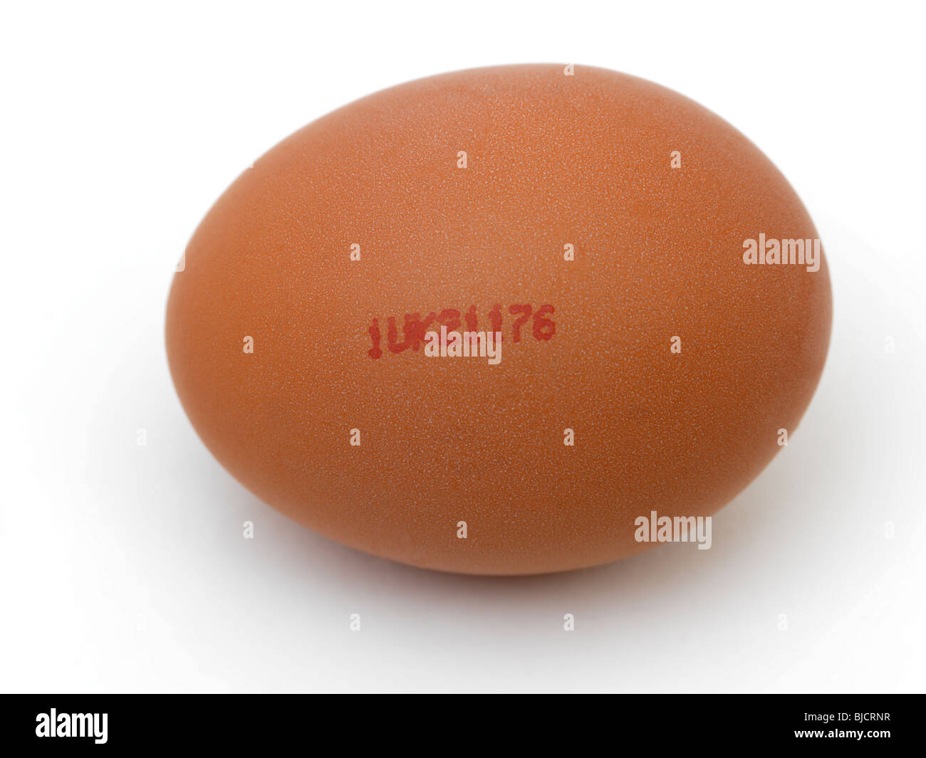 Code egg hi-res stock photography and images - Alamy