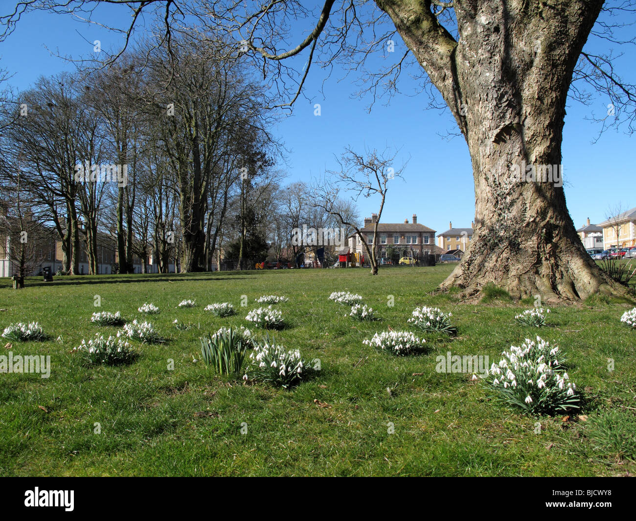 Poundbury hi-res stock photography and images - Alamy