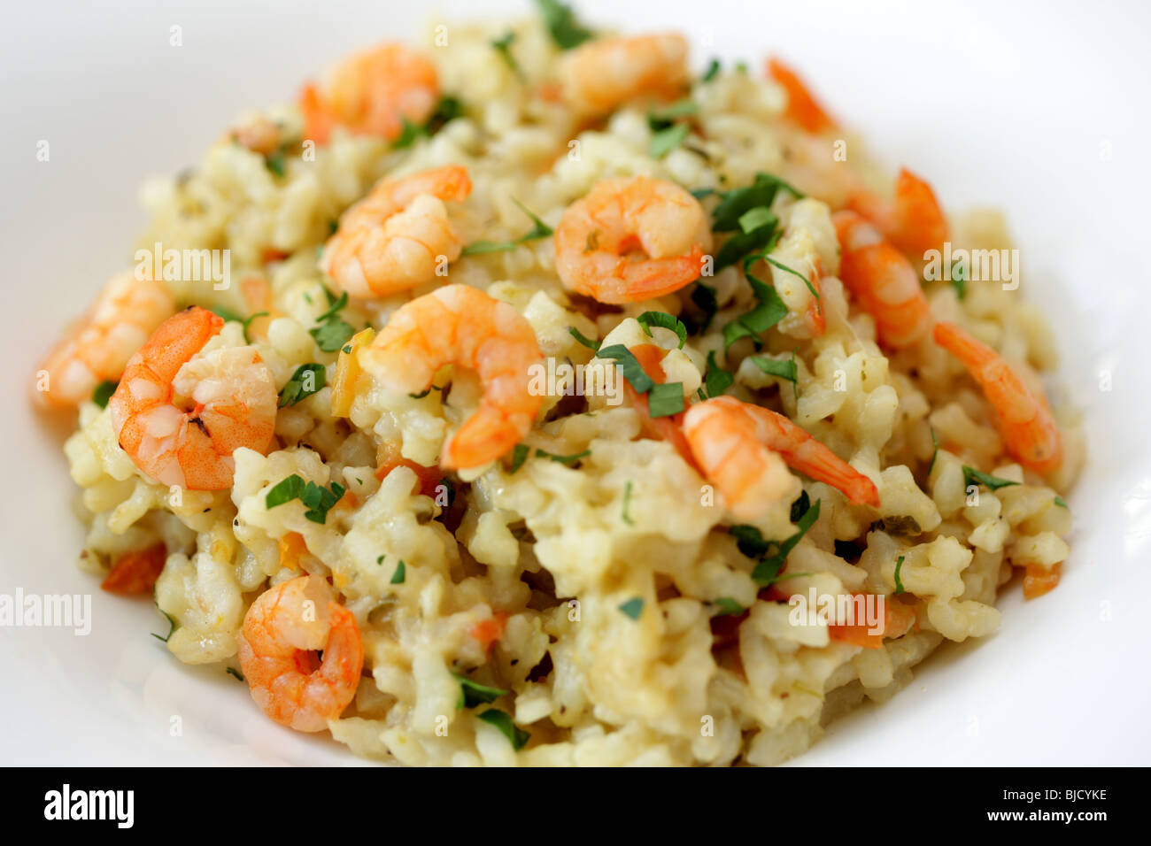 Food italian prawn risotto rissotto shrimp hi-res stock photography and ...