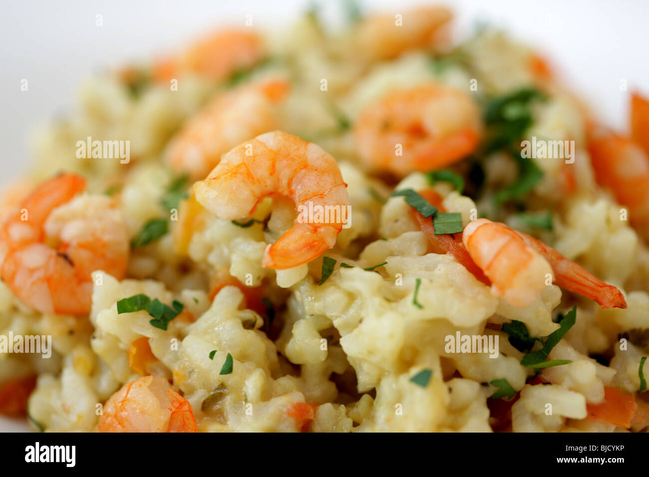 Fresh Italian Mediterranean Style Shrimp Risotto Seafood Meal With Rice ...