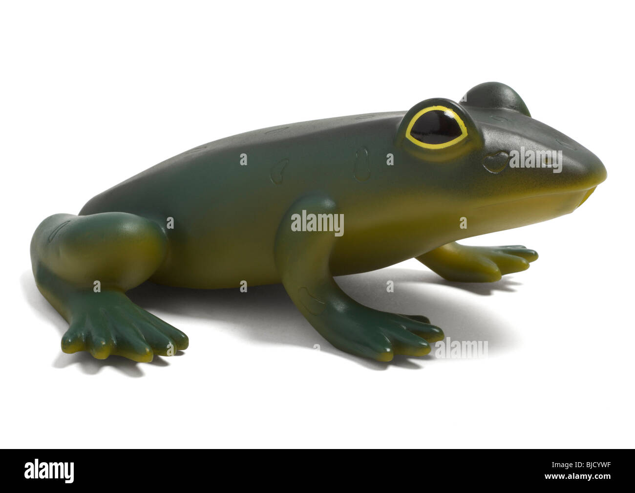 Green plastic frog on white background Stock Photo - Alamy