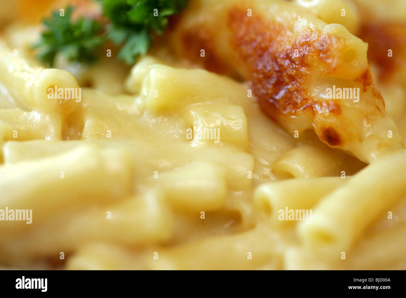 Freshly Cooked Italian Style Macaroni Cheese Pasta Meal With No People ...