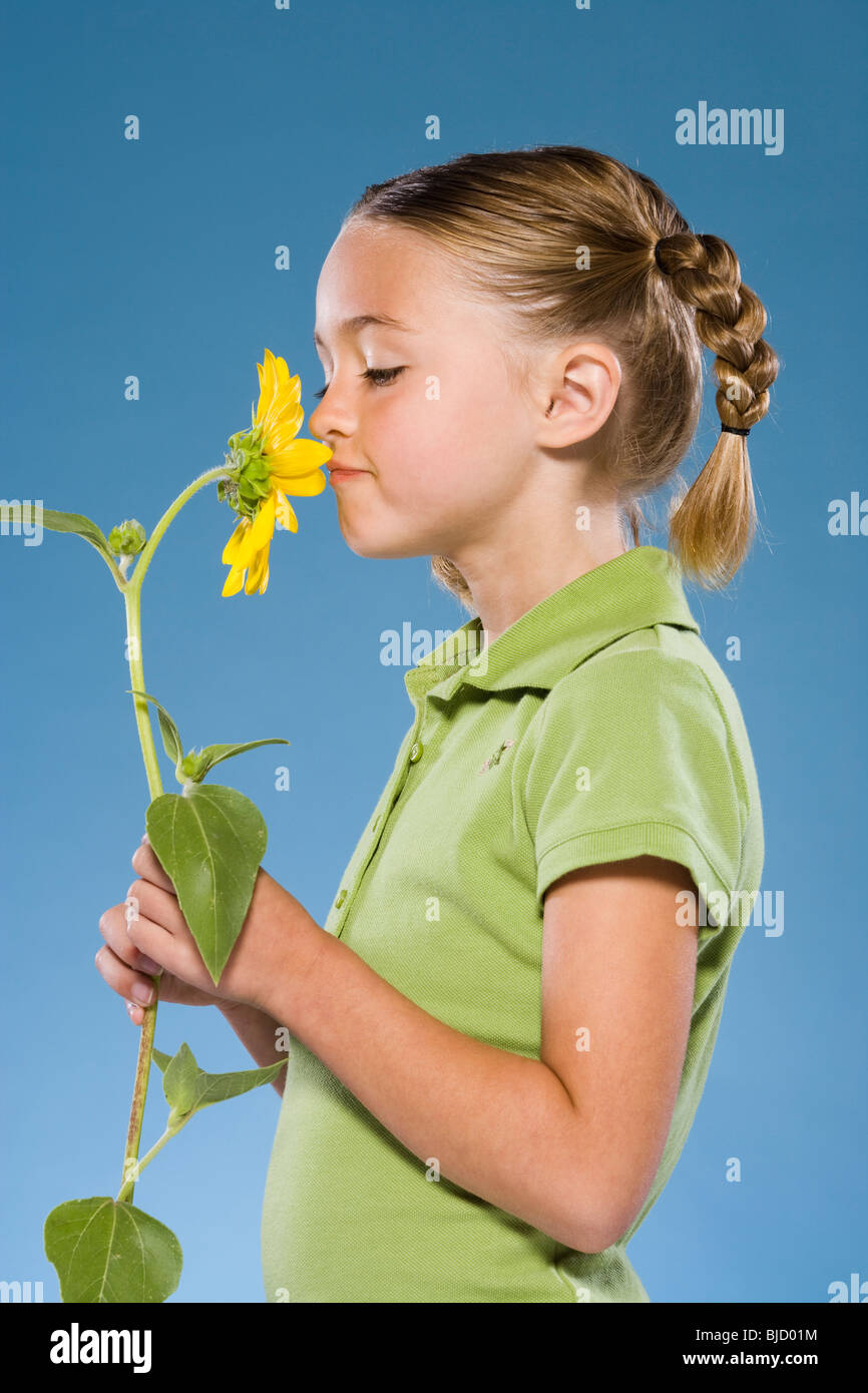 Child smelling a flower Stock Photo - Alamy