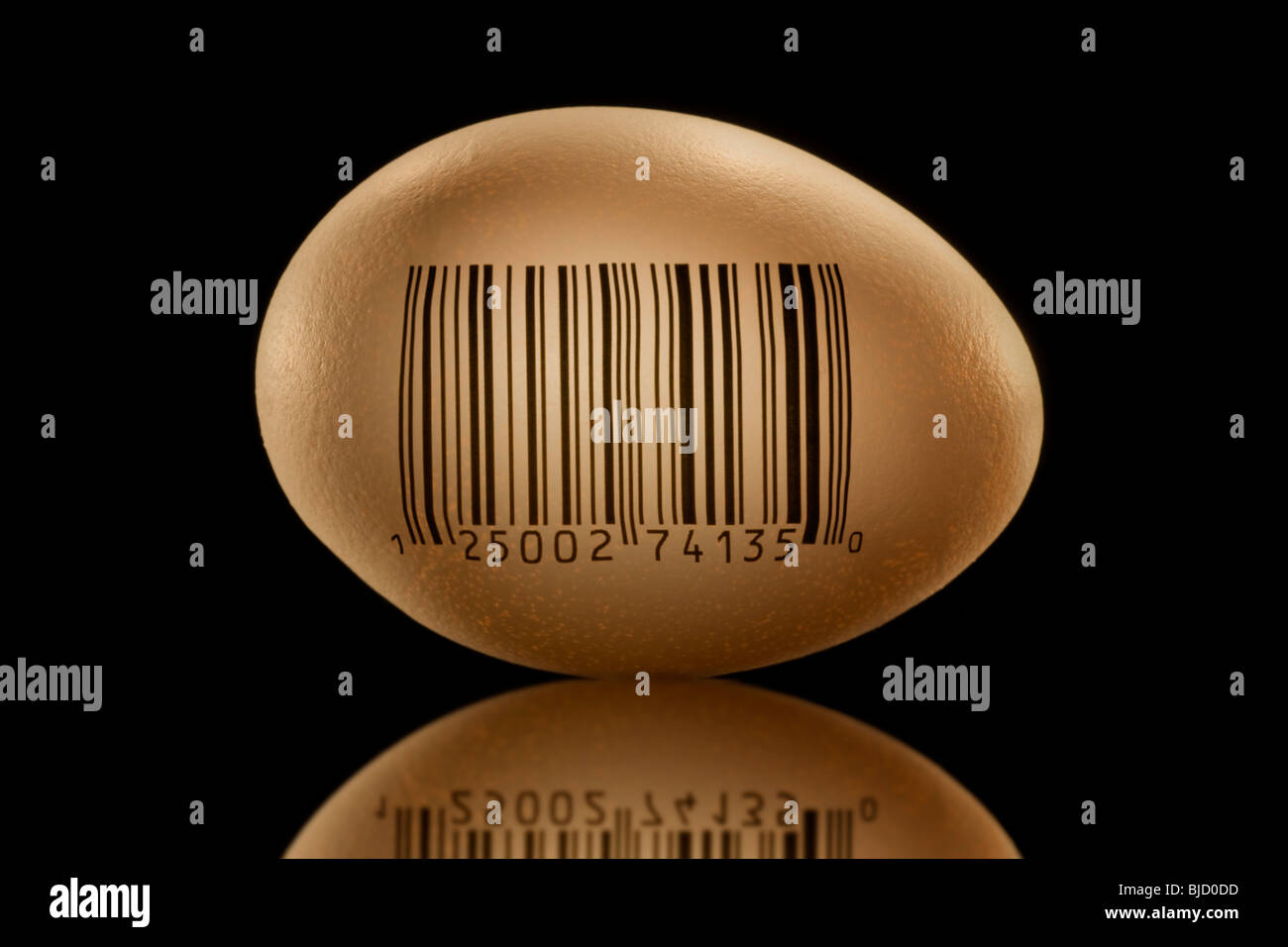 An egg with a barcode imprinted on it Stock Photo - Alamy