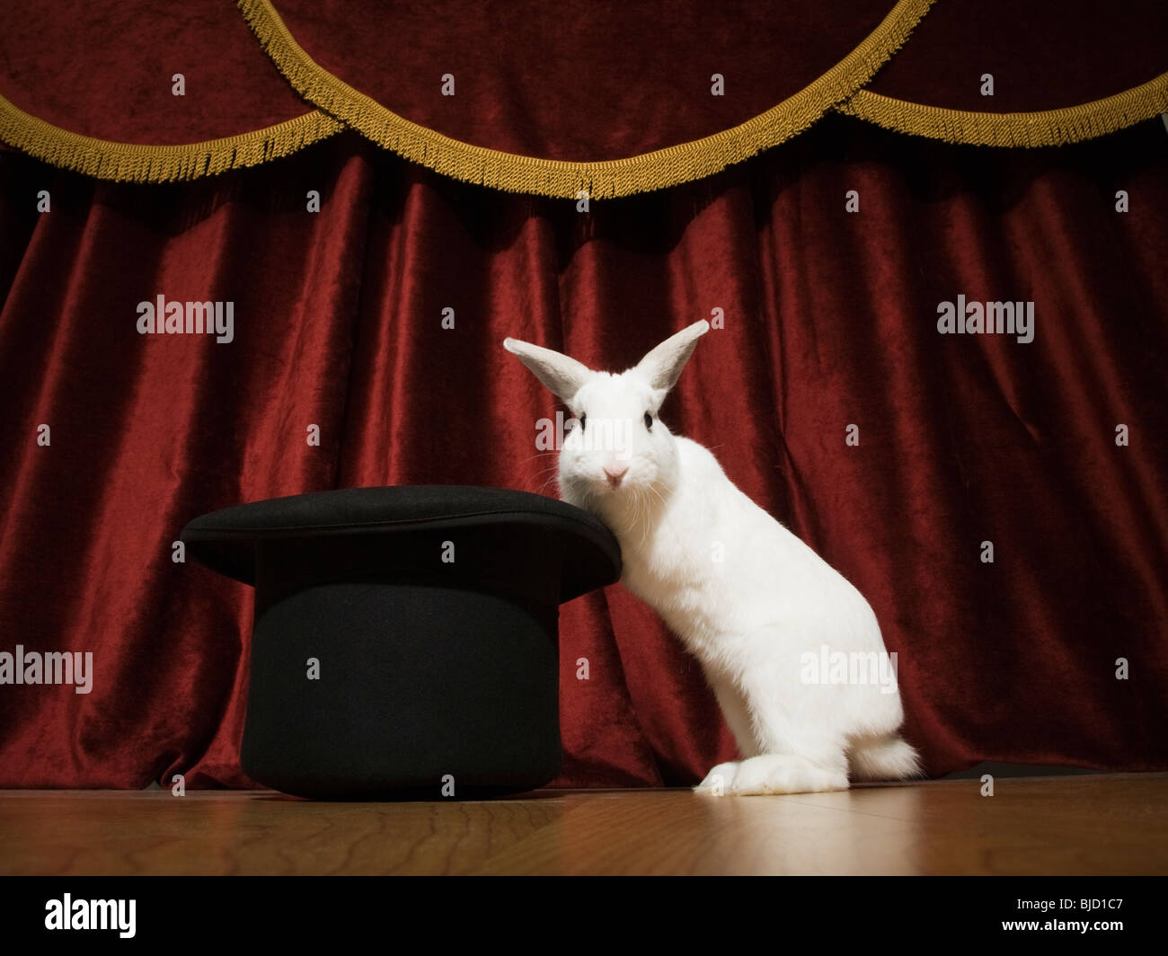 Pulling rabbit out of hat hi-res stock photography and images - Alamy