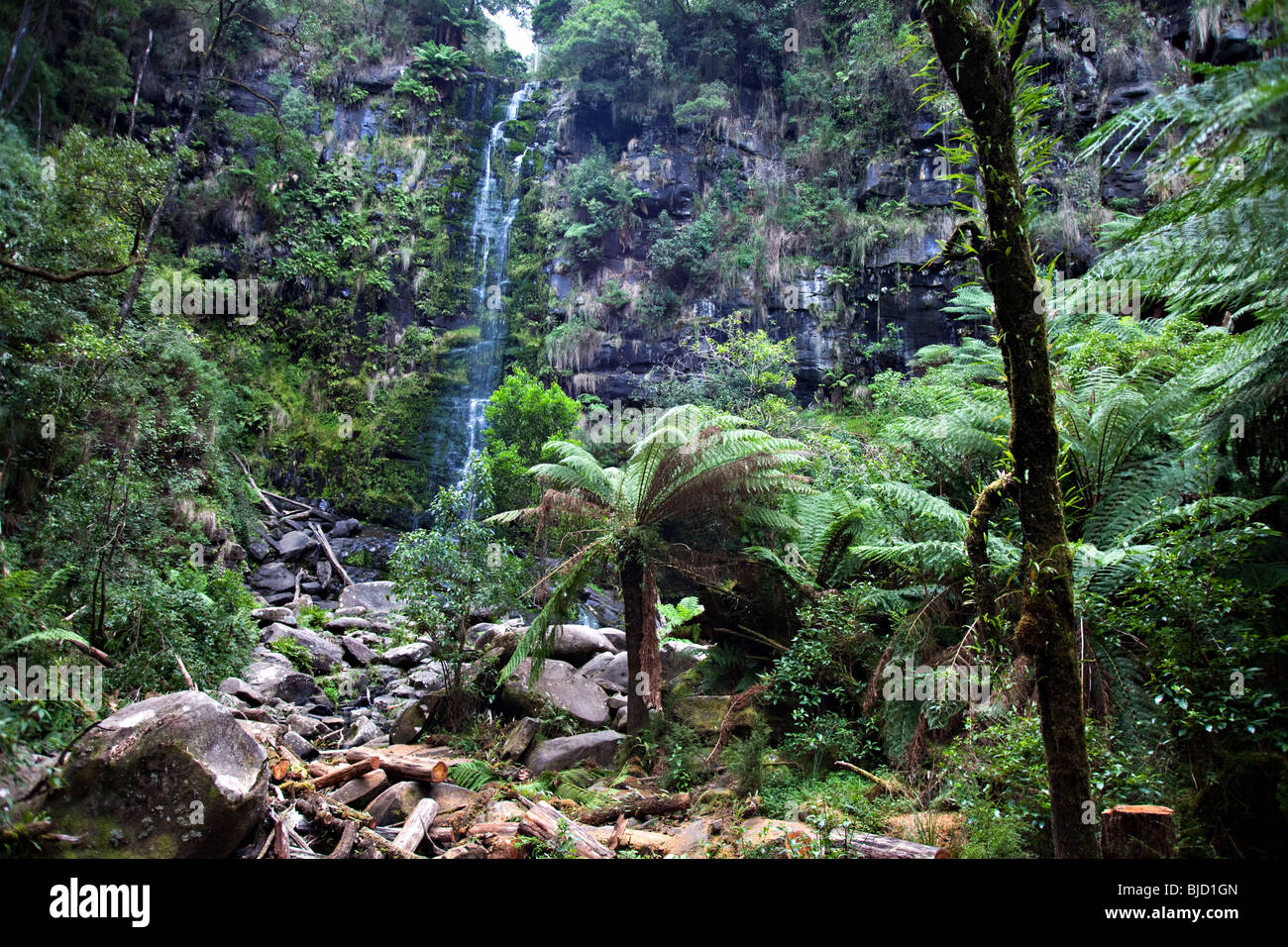 Erskine waterfall, next to Lorne town, Great Otway national Park ...